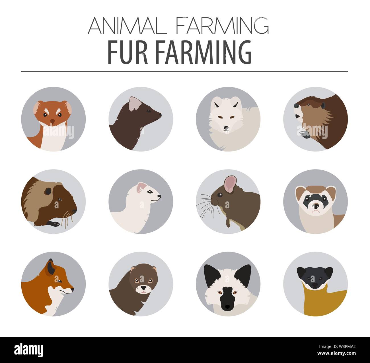 Fur farming. Flat design. Vector illustration Stock Vector Image & Art ...