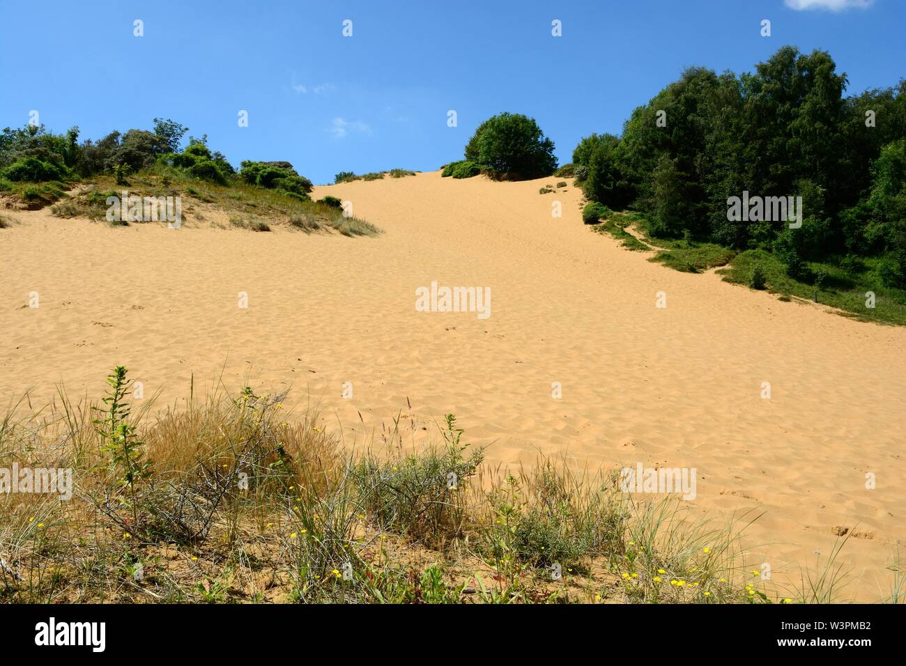 200 feet high hi-res stock photography and images - Alamy