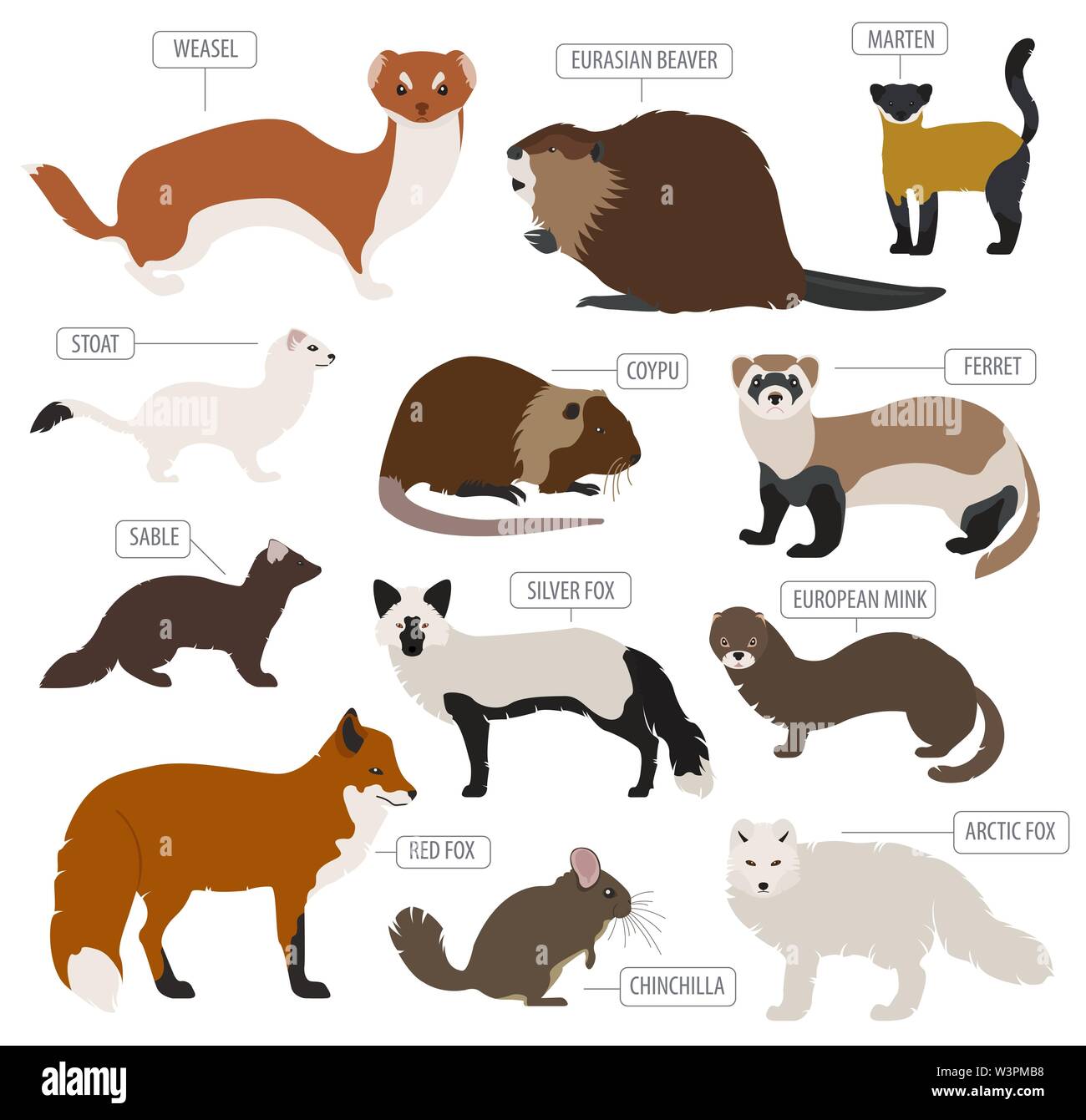 Fur farming. Flat design. Vector illustration Stock Vector Image & Art ...