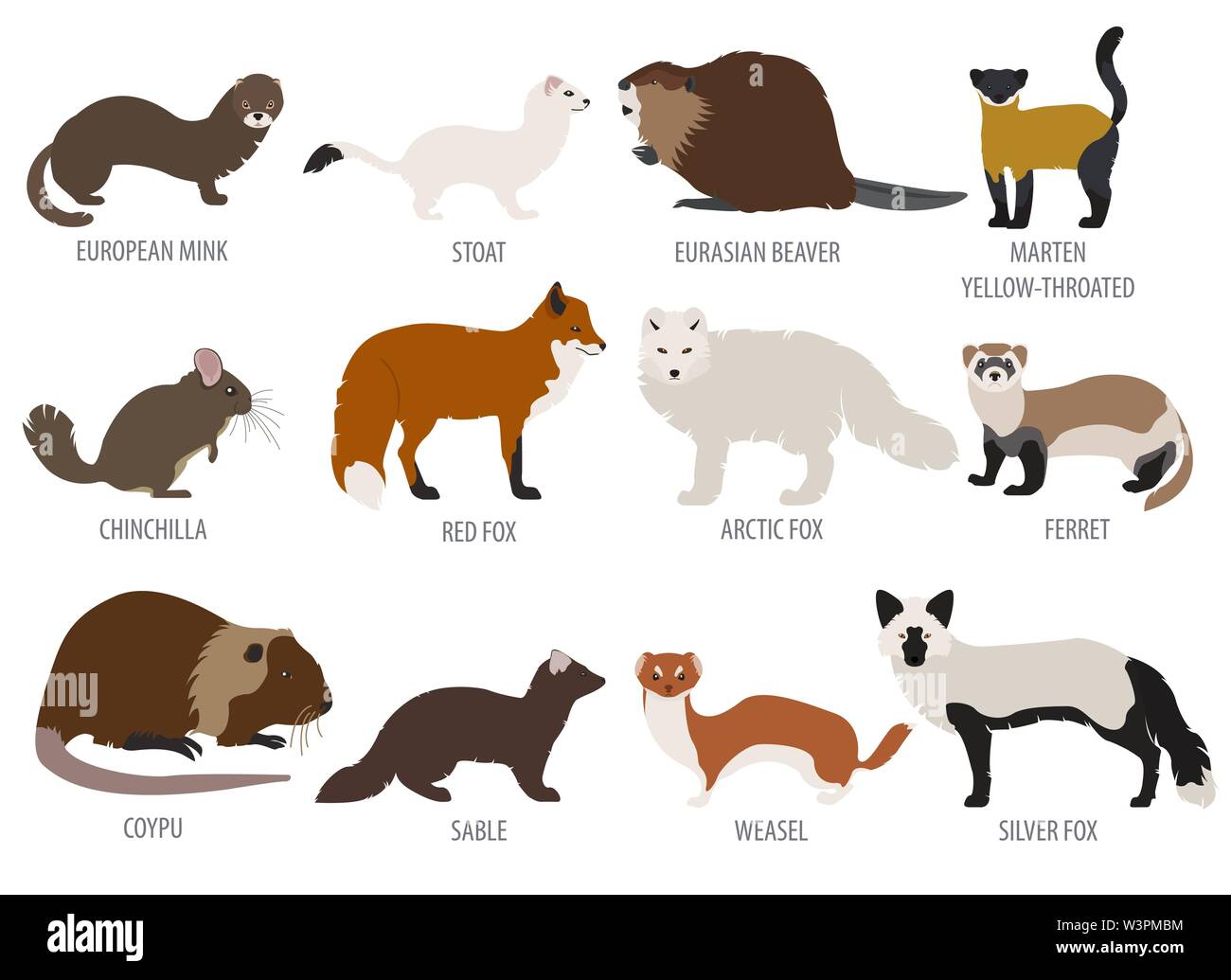 Fur farming. Flat design. Vector illustration Stock Vector Image & Art ...
