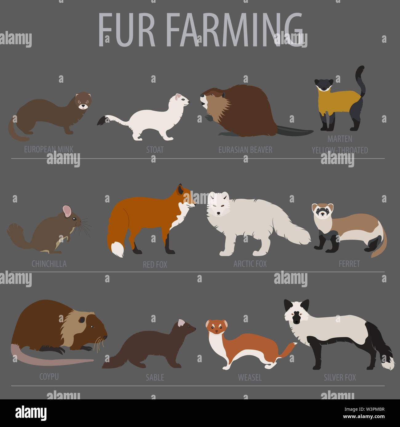 Fur farming. Flat design. Vector illustration Stock Vector Image & Art ...