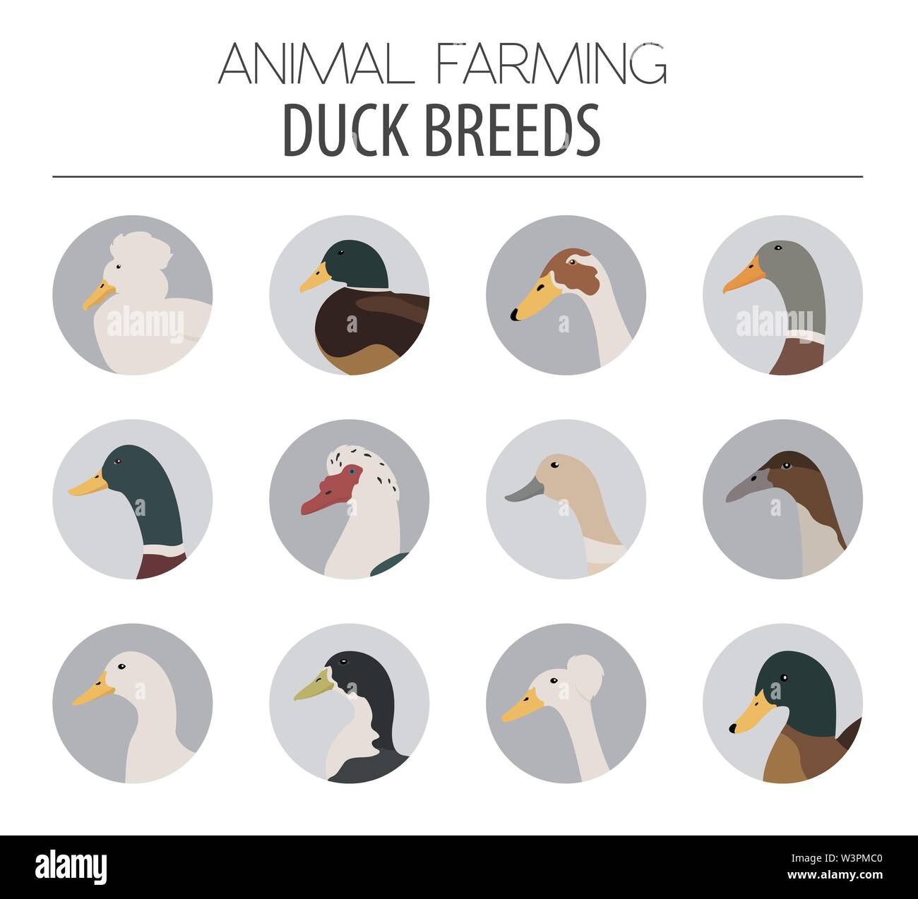 Rouen vector vectors hi-res stock photography and images - Alamy