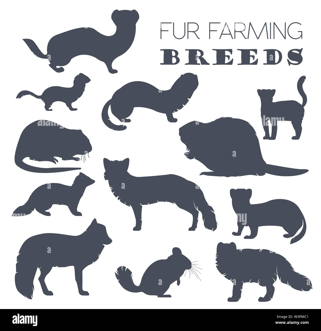 Fur farming. Flat design. Vector illustration Stock Vector Image & Art ...