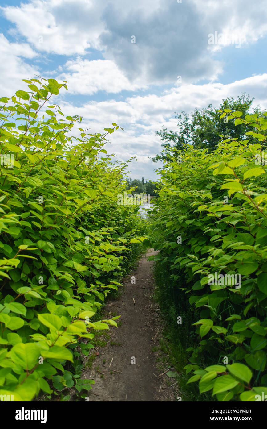 A photo safari through the Knoops Park in Bremen on the river Lesum ...