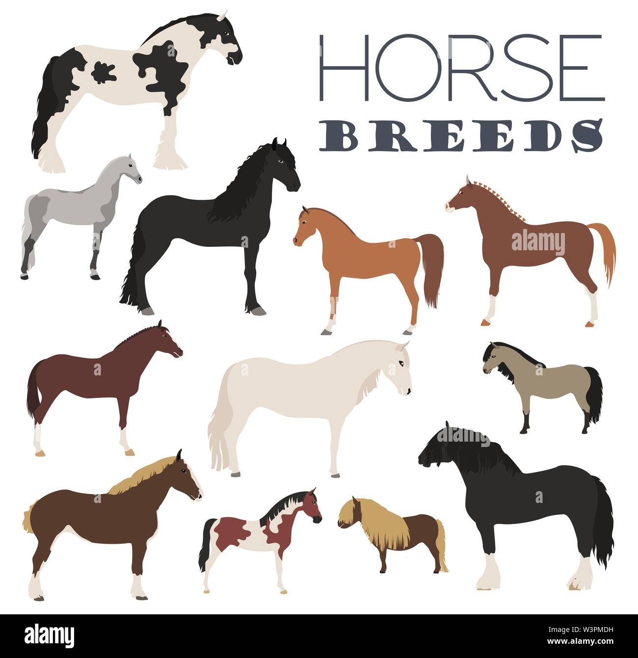 Horse breeding icon set. Farm animal. Flat design. Vector illustration ...