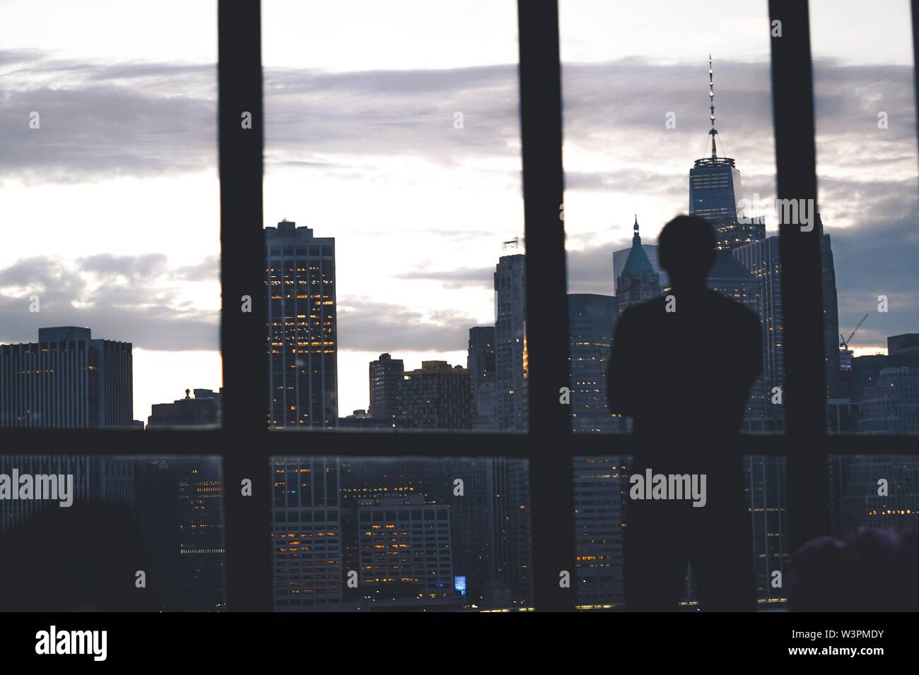 Silhouette of a successful male standing of a window overlooking the ...