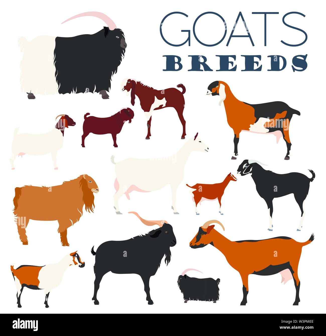 Goat breeds icon set. Animal farming. Flat design. Vector illustration ...