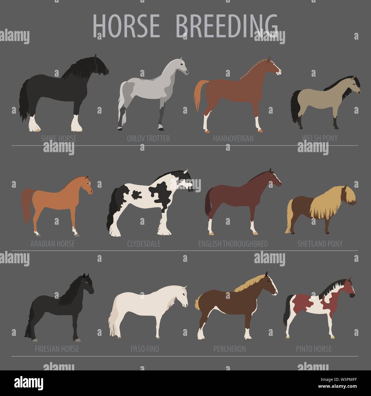 Horse breeding icon set. Farm animal. Flat design. Vector illustration ...