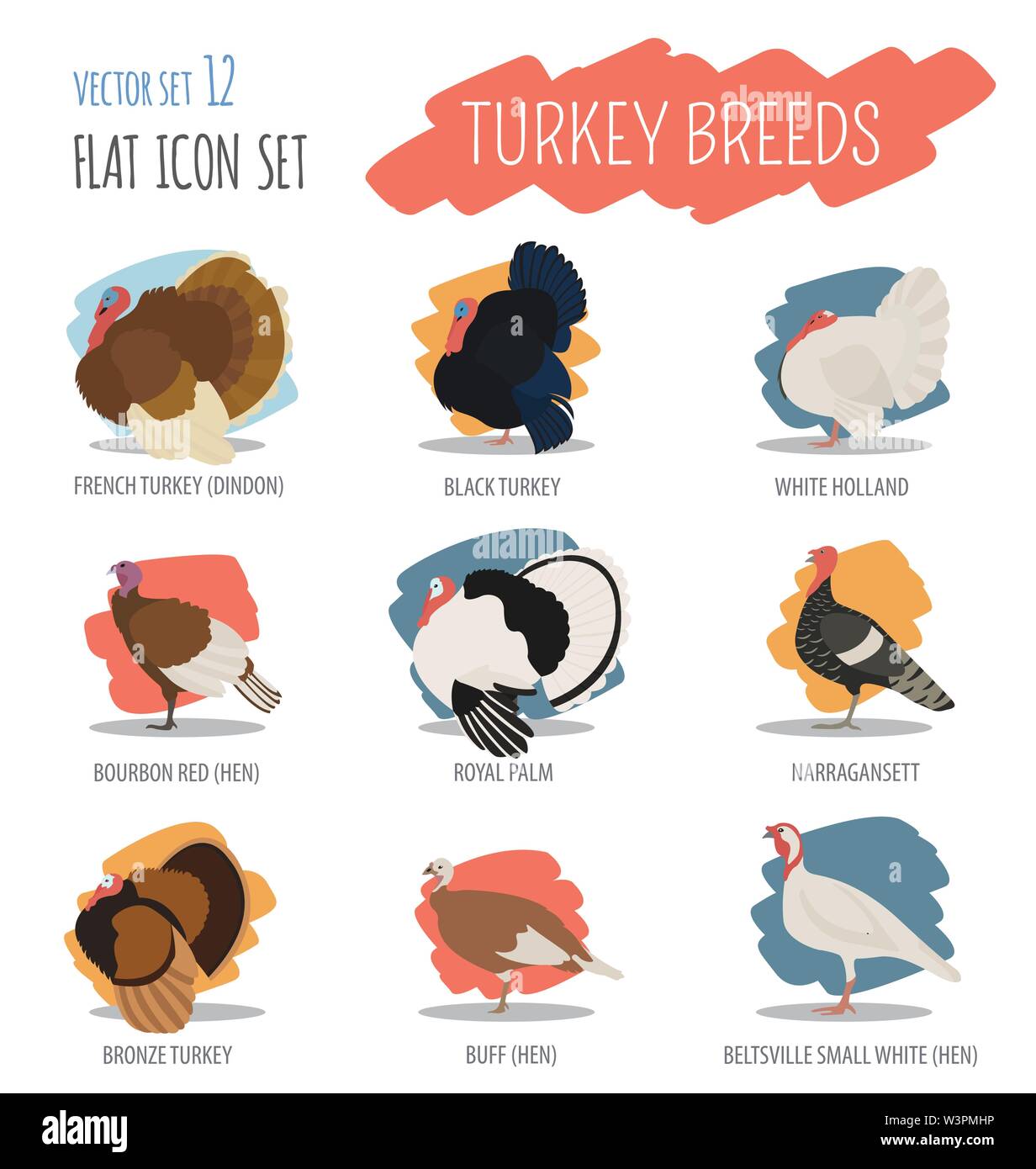 Poultry farming. Turkey breeds icon set. Flat design. Vector ...