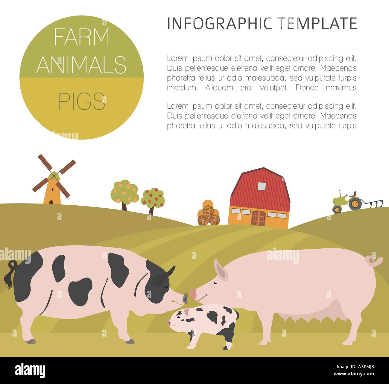 Pig farming infographic template. Hog, sow, pig family. Flat design ...