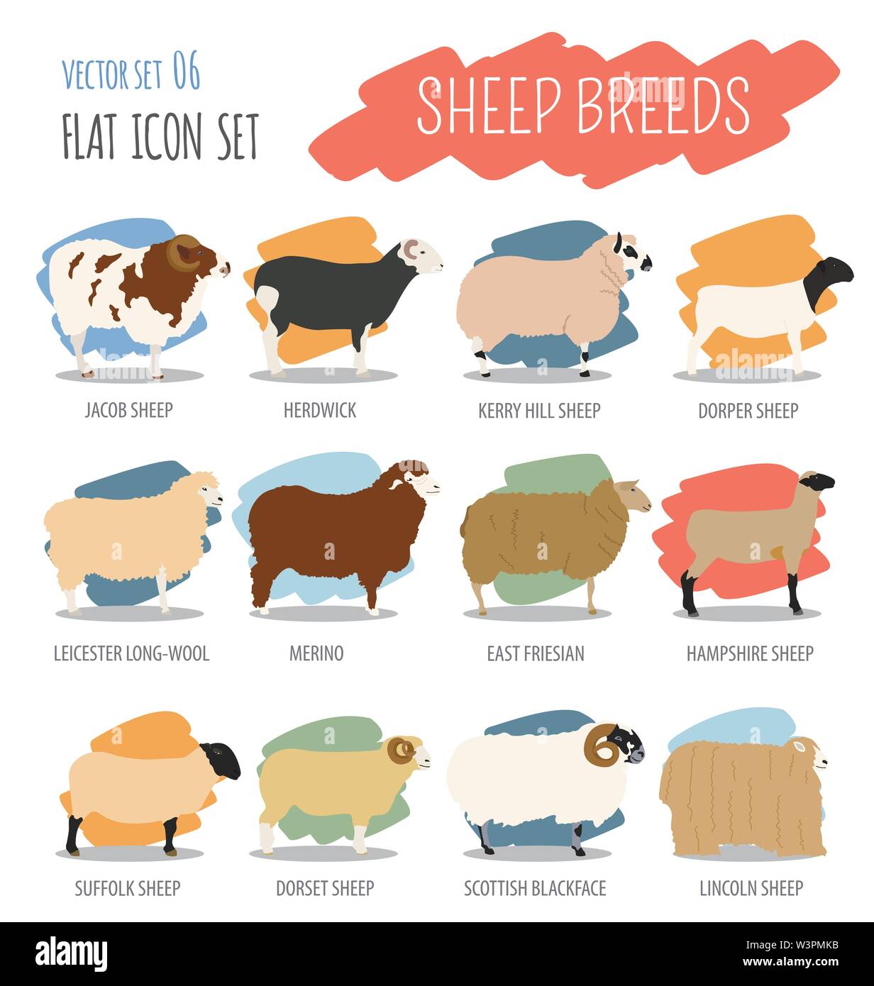 Sheep breed icon set. Farm animal. Flat design. Vector illustration ...