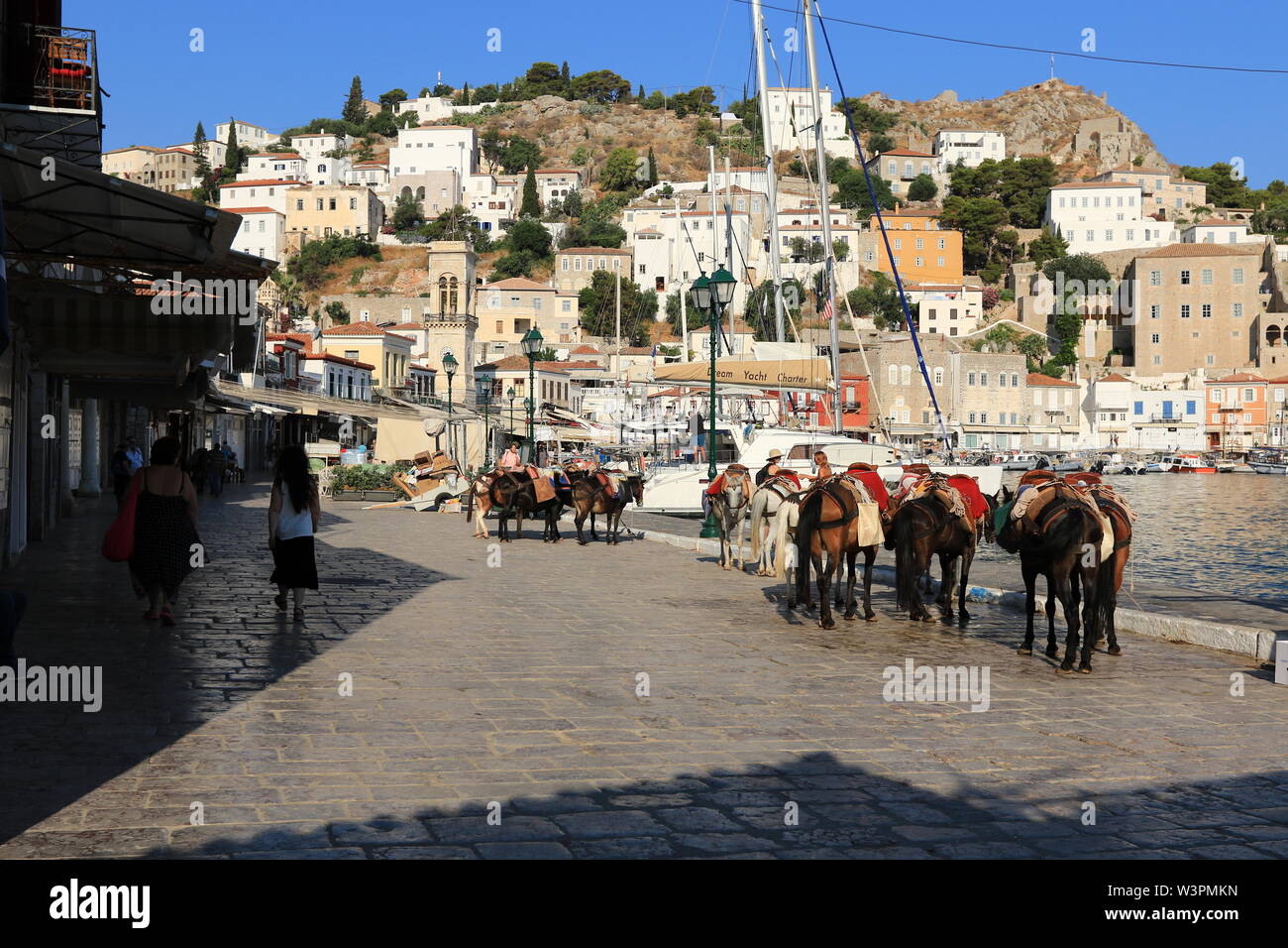 Mules at Hydra Port, Hydra Island, Greece Stock Photo - Alamy