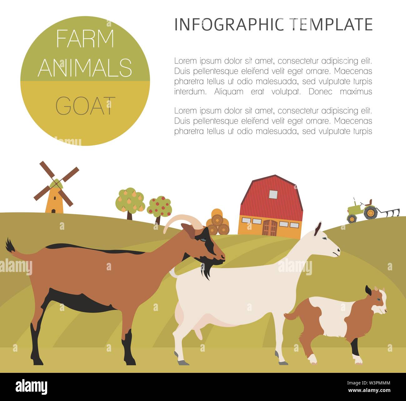 Boer goat kid Stock Vector Images - Alamy