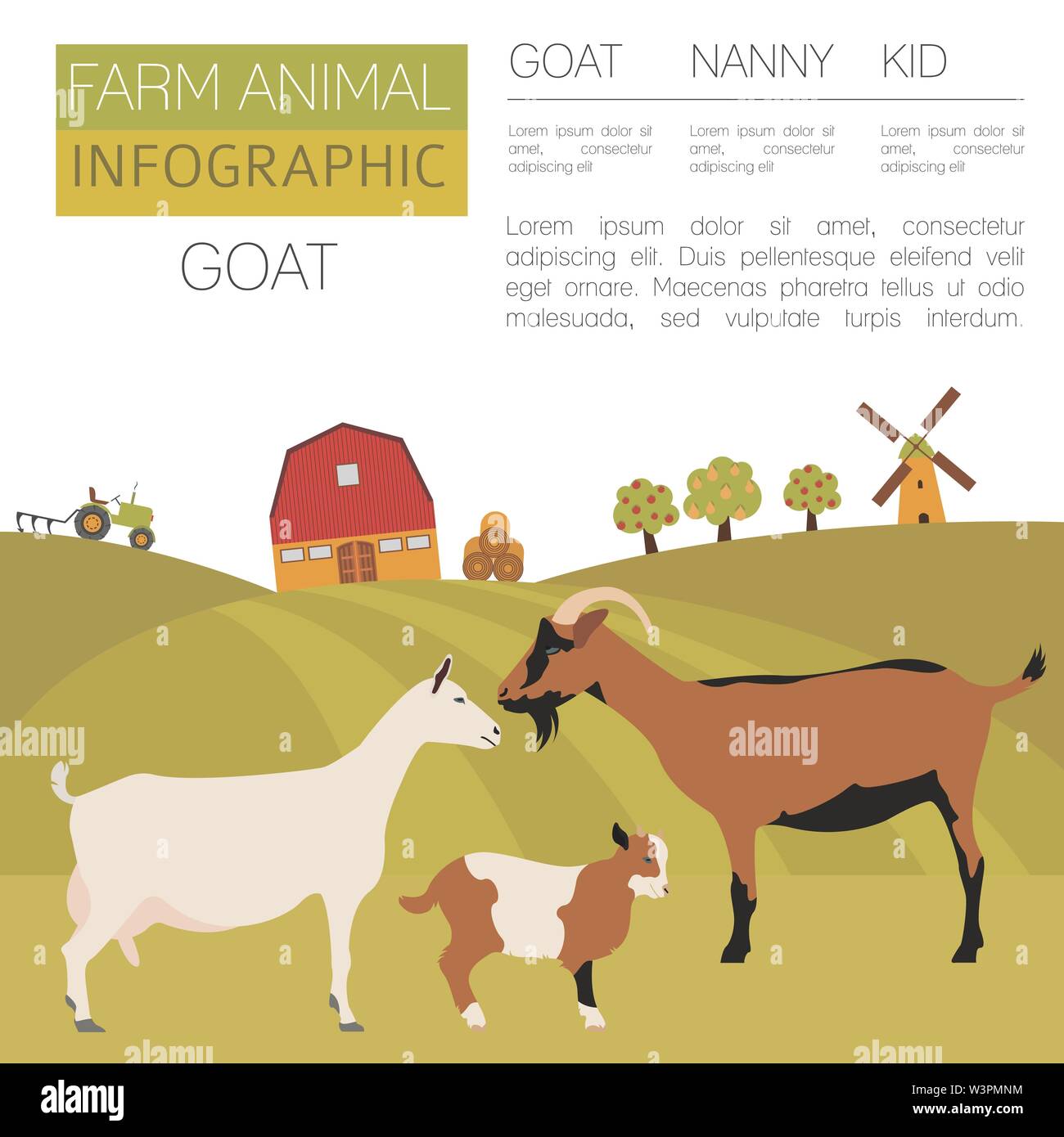 Goat farming infographic template. Animall family. Flat design. Vector ...