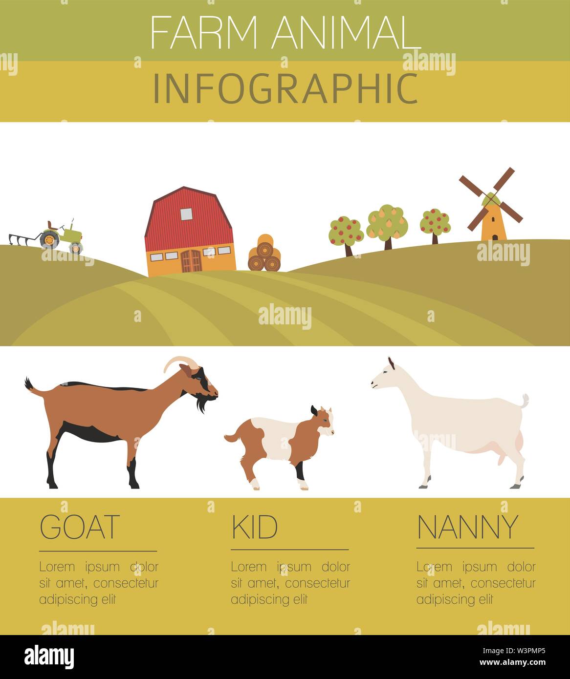 Goat farming infographic template. Animall family. Flat design. Vector ...