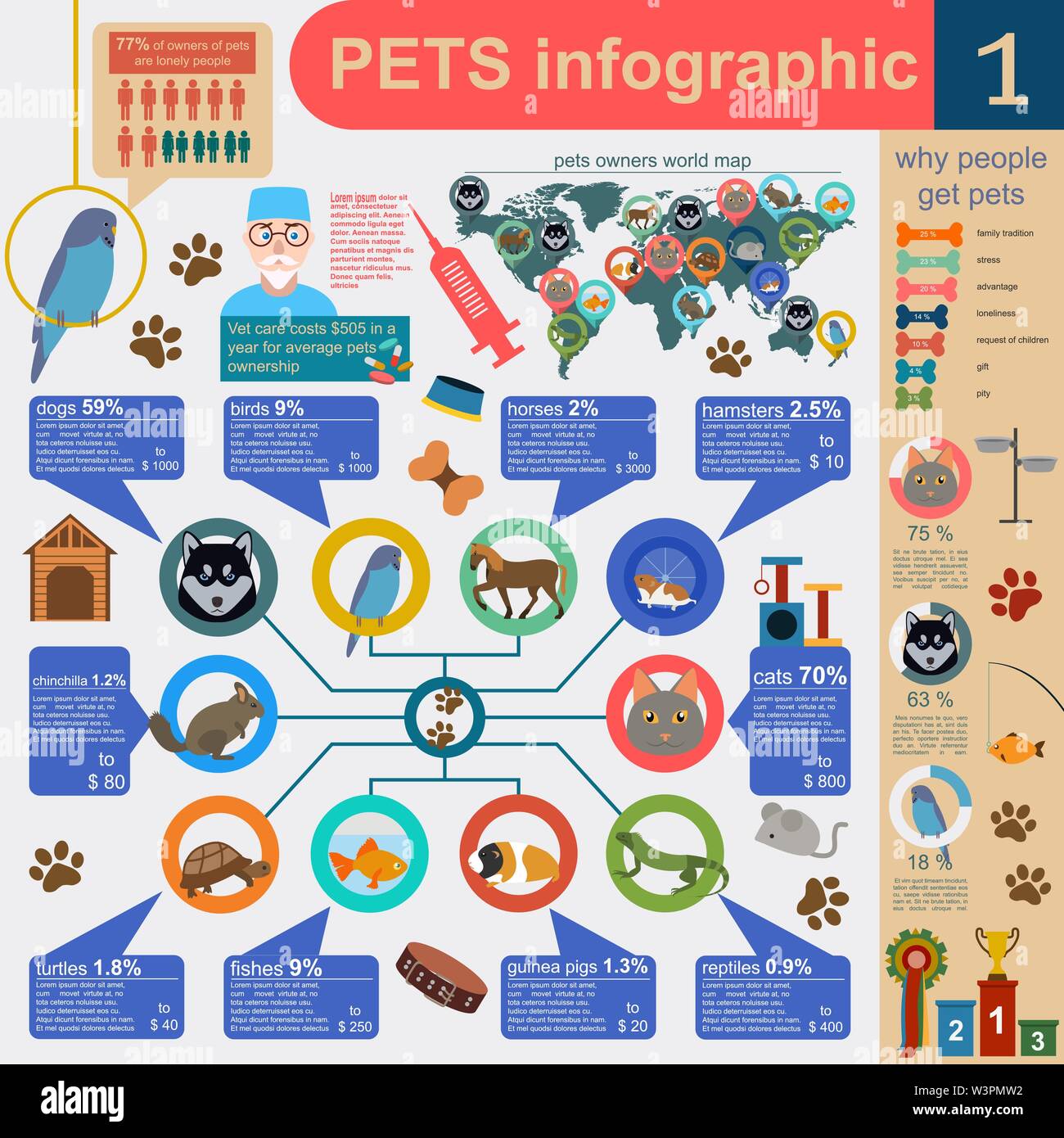 Domestic pets infographic elements, helthcare, vet. Vector illustration ...