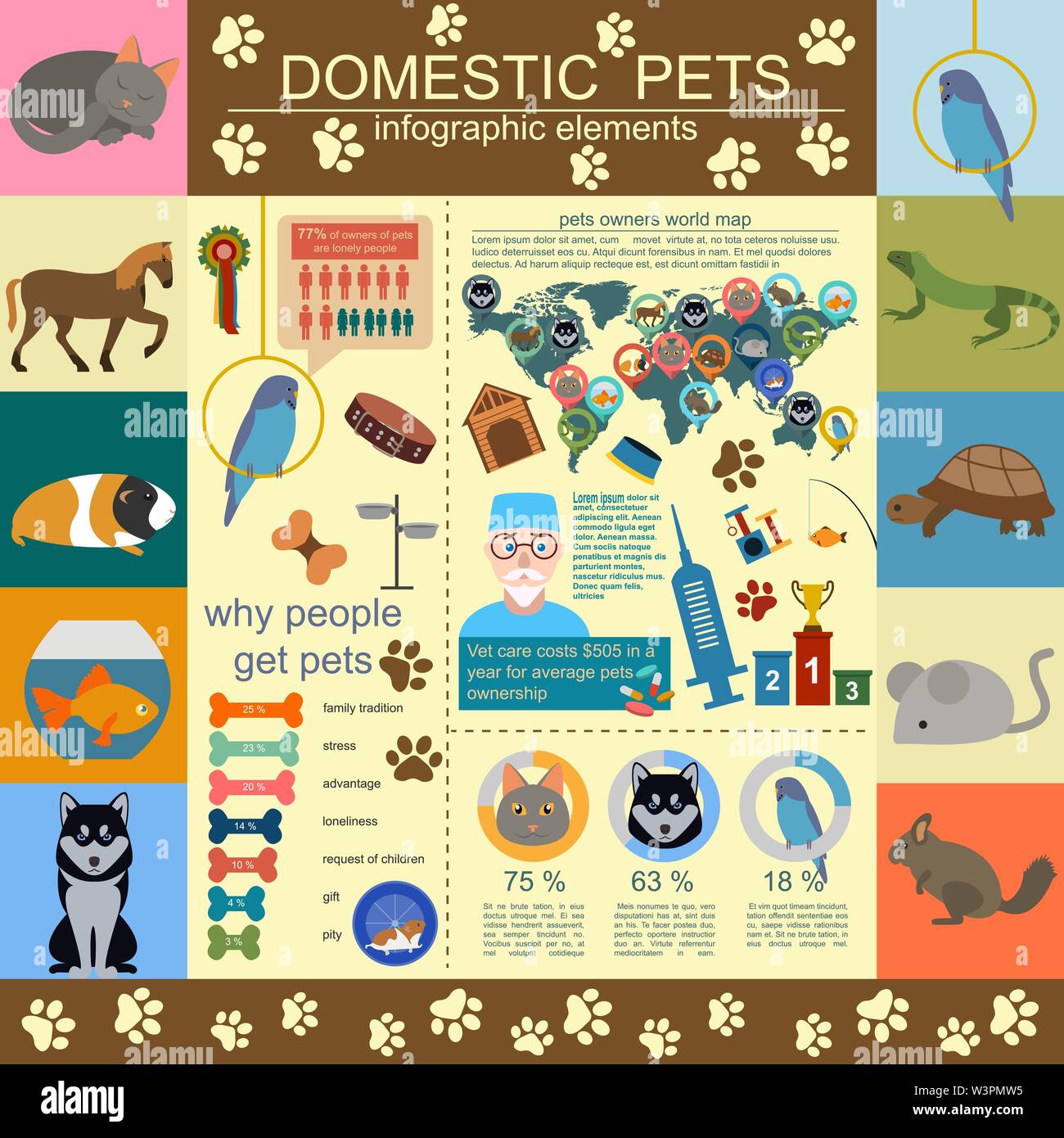 Domestic pets infographic elements, helthcare, vet. Vector illustration ...