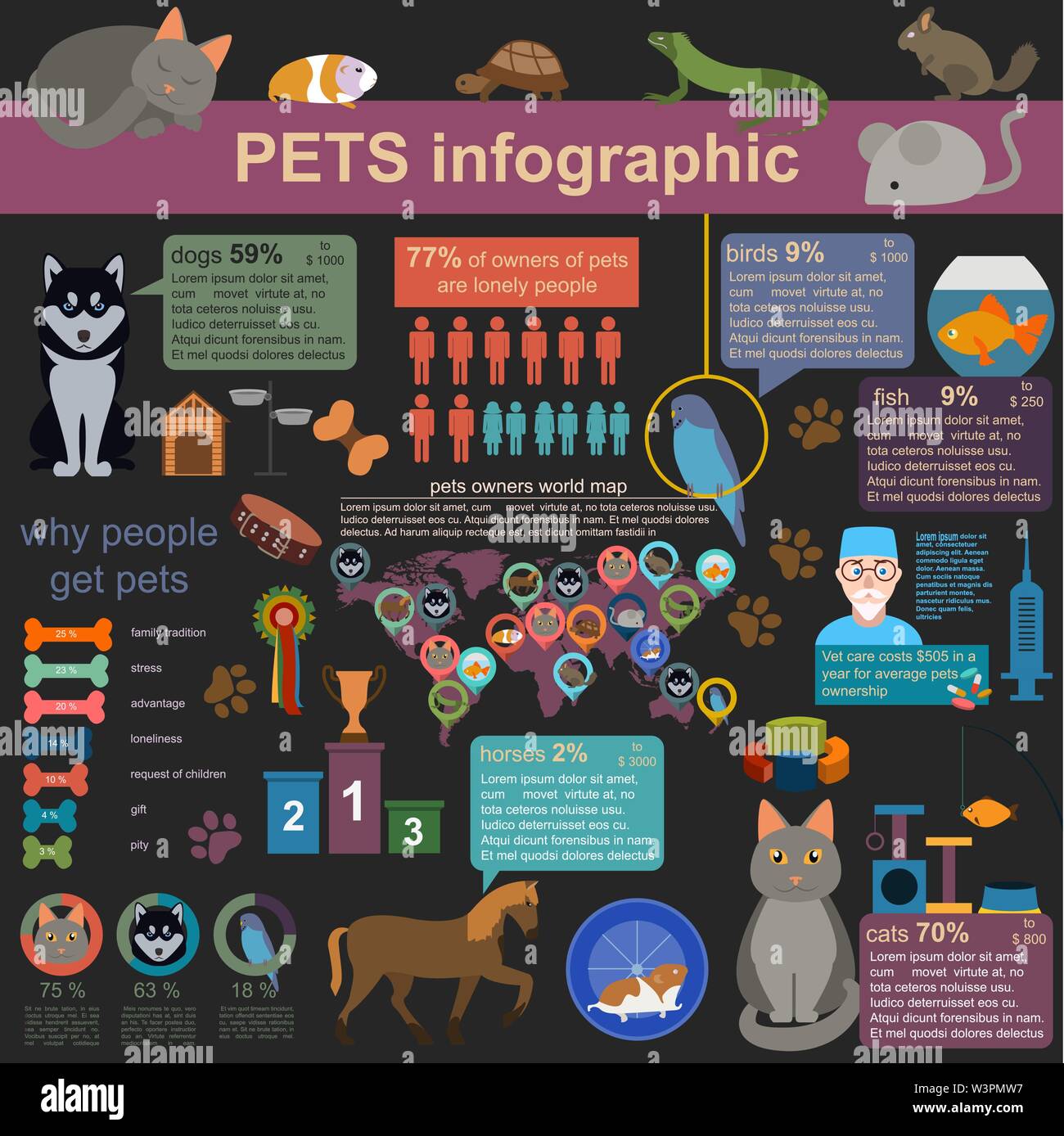 Domestic pets infographic elements, helthcare, vet. Vector illustration ...