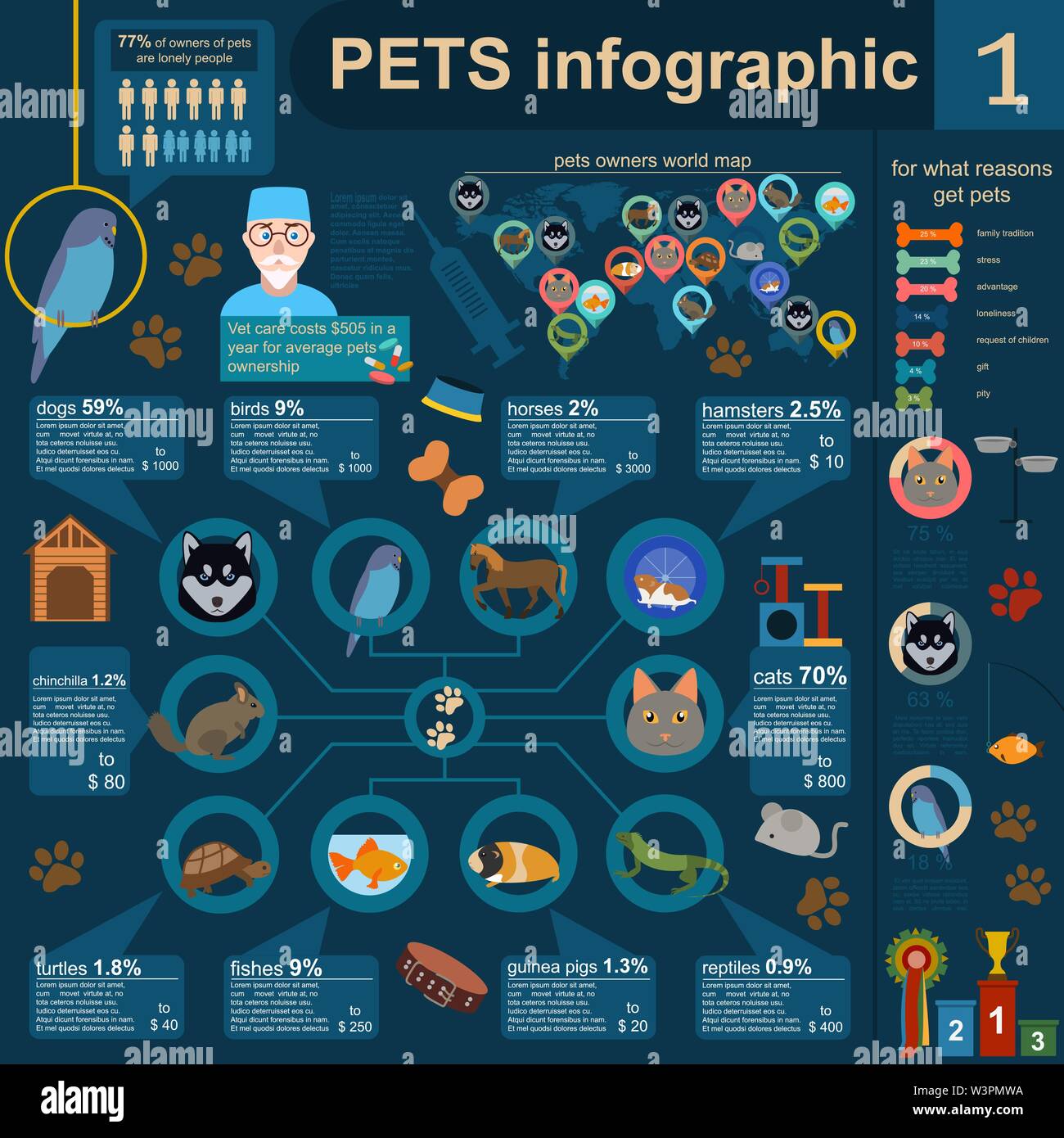 Domestic pets infographic elements, helthcare, vet. Vector illustration ...