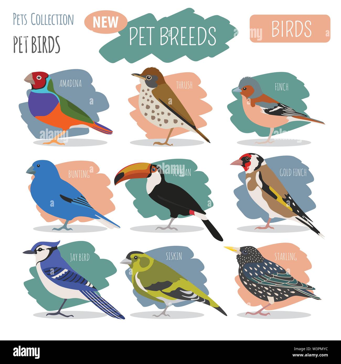 Pet birds collection, breeds icon set flat style isolated on white ...