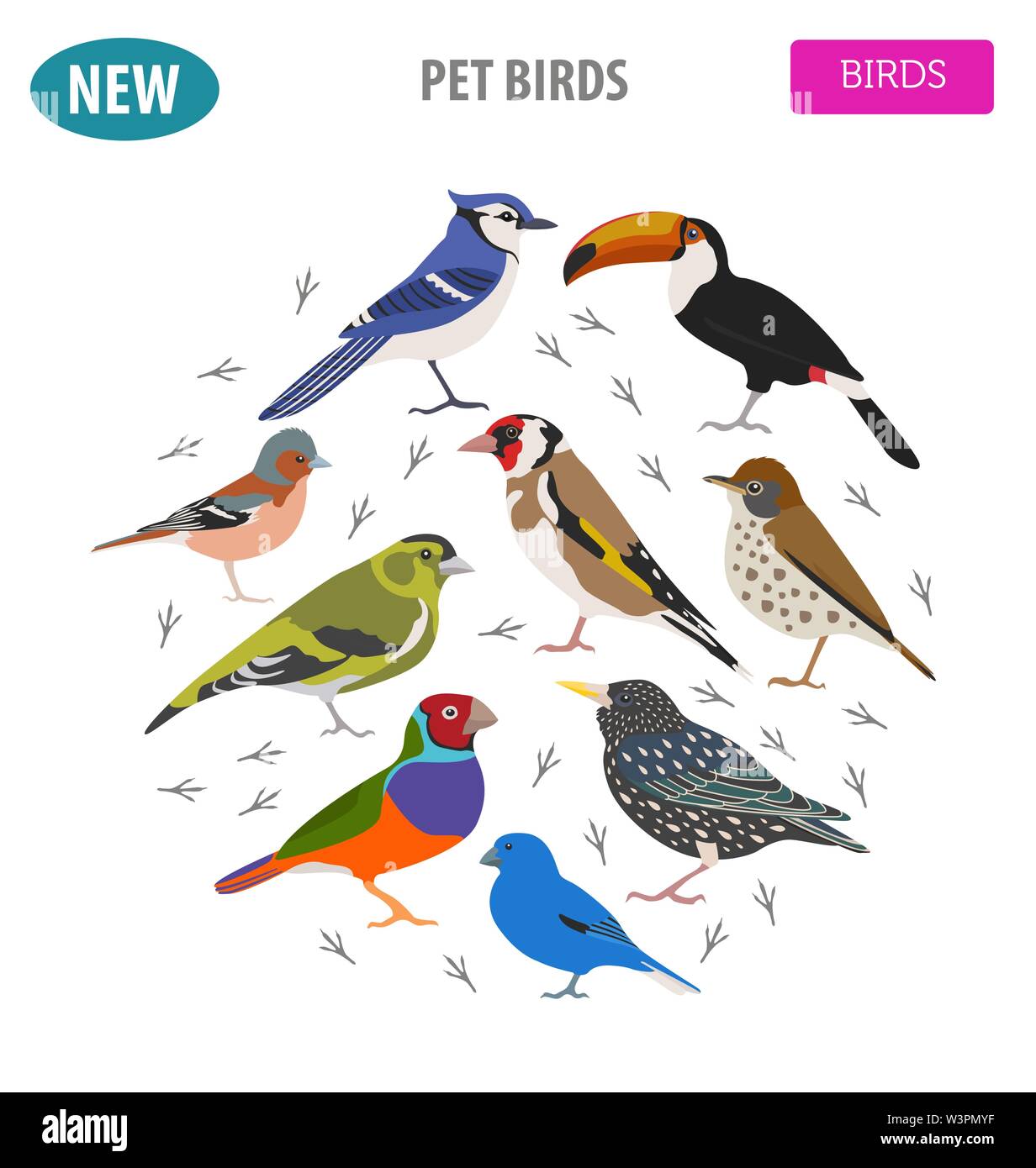 Pet birds collection, breeds icon set flat style isolated on white ...