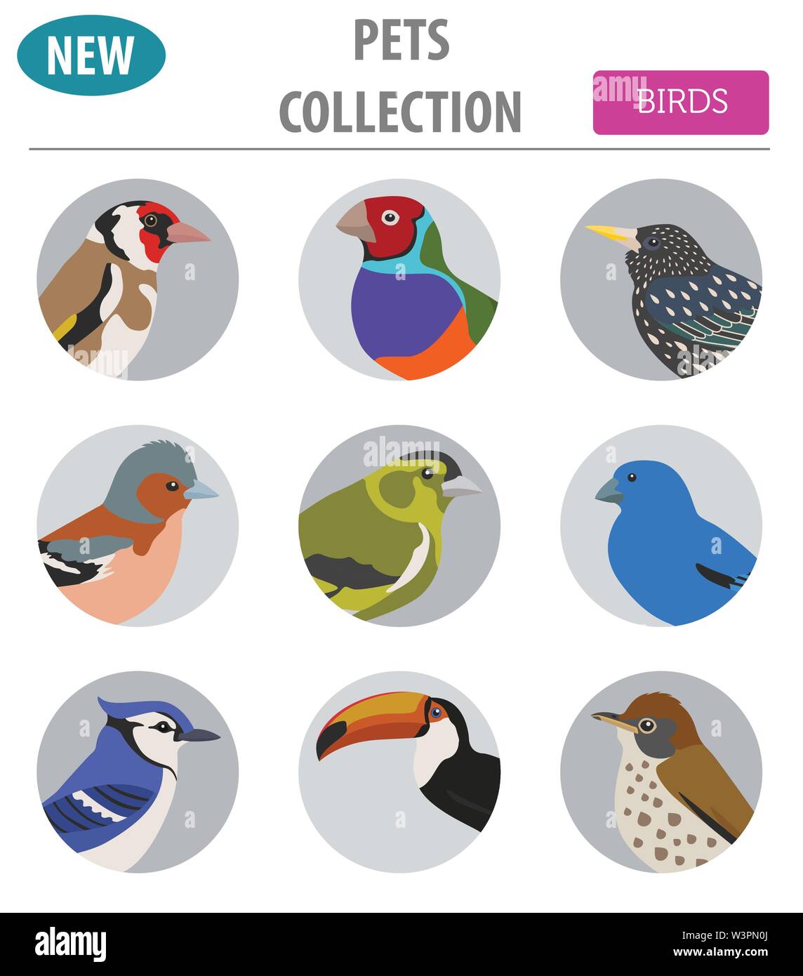 Pet birds collection, breeds icon set flat style isolated on white ...