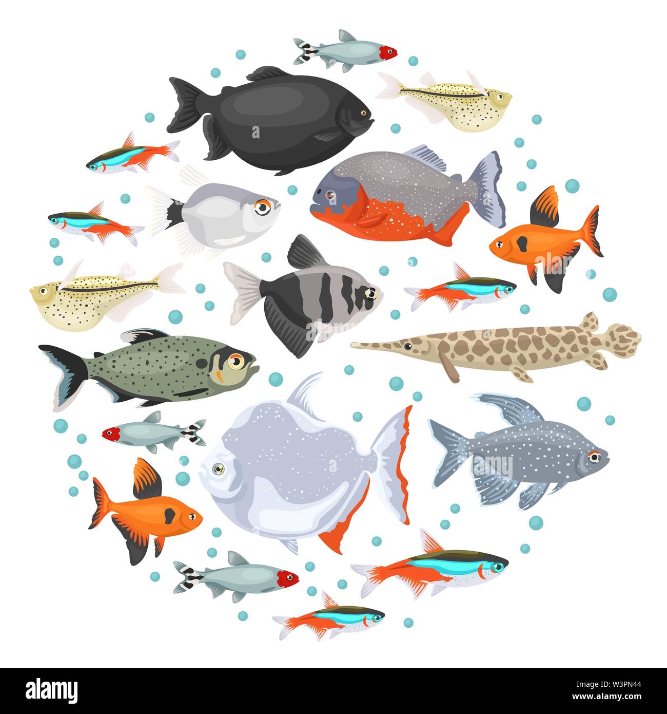 African pike characin hi-res stock photography and images - Alamy