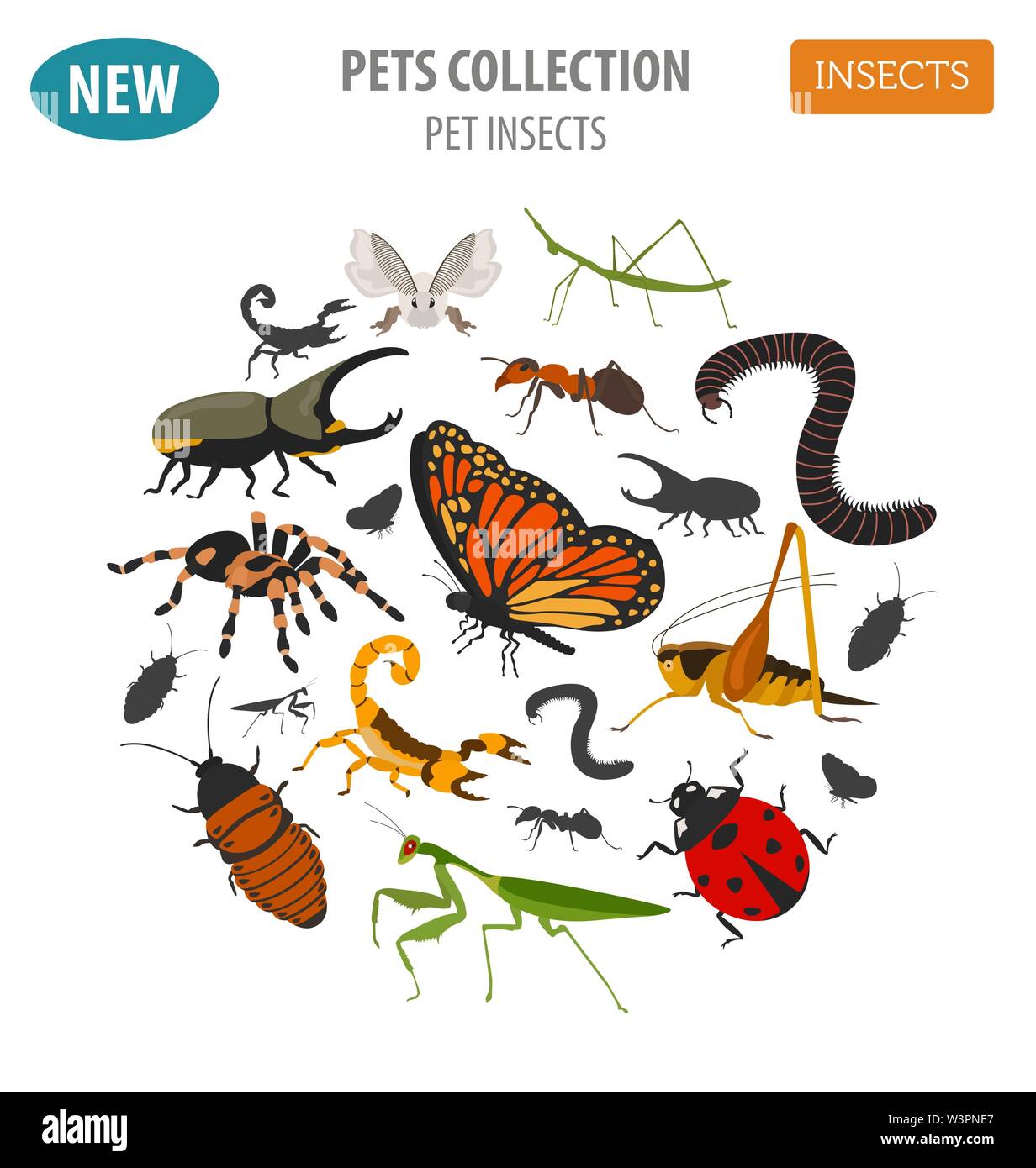 Pet insects breeds icon set flat style isolated on white. House keeping ...
