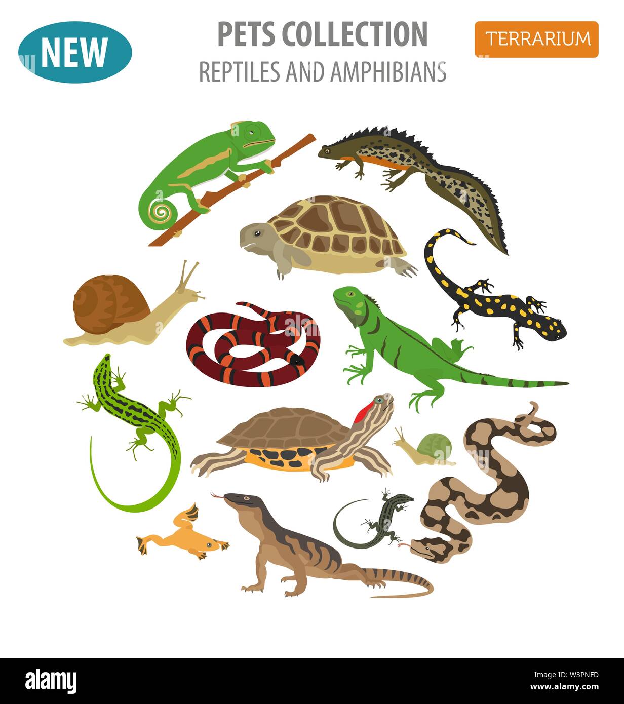 Pet reptiles and amphibians icon set flat style isolated on white ...