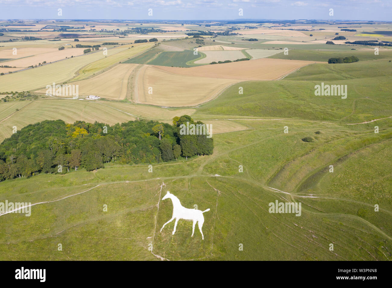 Dr Christopher Alsop High Resolution Stock Photography and Images - Alamy