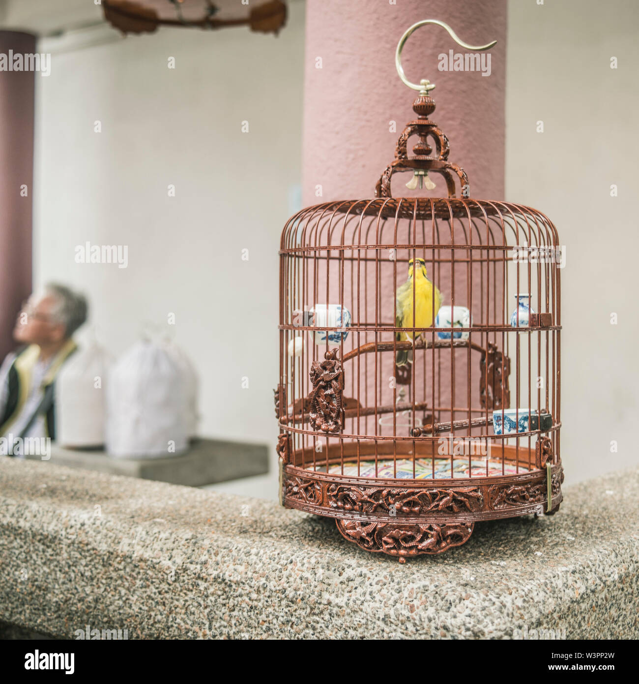 Animal outside cage hi-res stock photography and images - Alamy