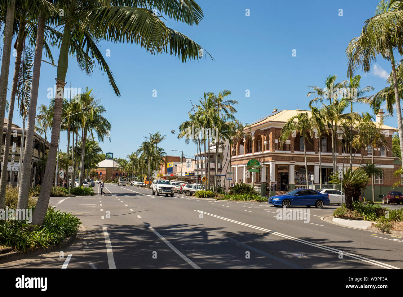 Palm trees on Burringbar Street, the main street in Mullumbimby, New ...