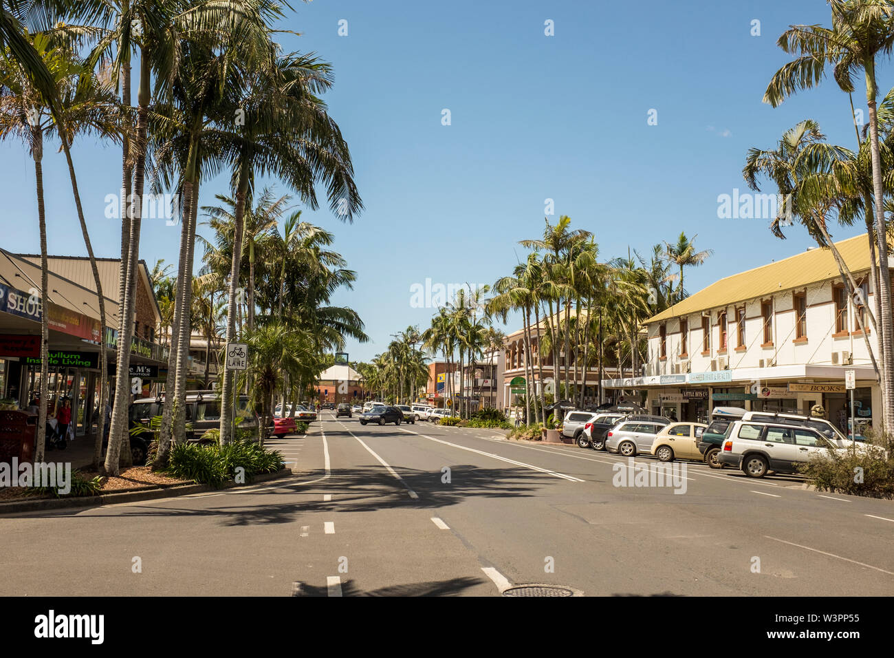 Palm trees on Burringbar Street, the main street in Mullumbimby, New ...