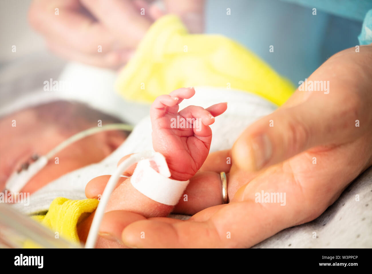 Mother's hand and premature born infant child in ICU hospital room with ...