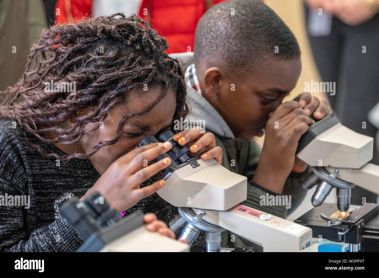 Children participating in Science Stock Photo - Alamy
