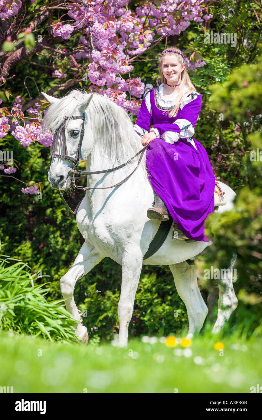 Sidesaddle horse hi-res stock photography and images - Alamy