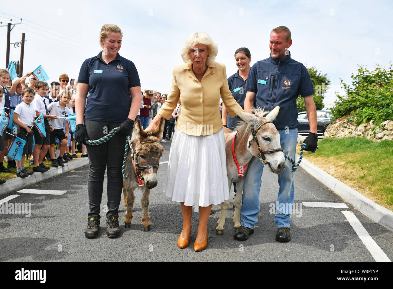 The Duchess of Cornwall with donkeys William (right) and Harry during ...