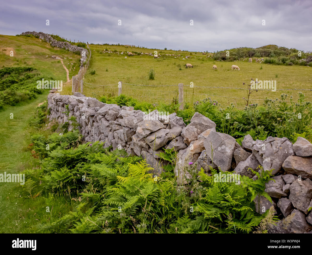 A view from the Welsh Coastal path Stock Photo - Alamy