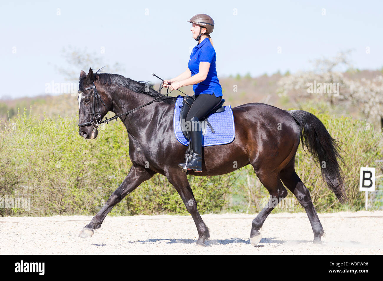 Extended trot hi-res stock photography and images - Alamy