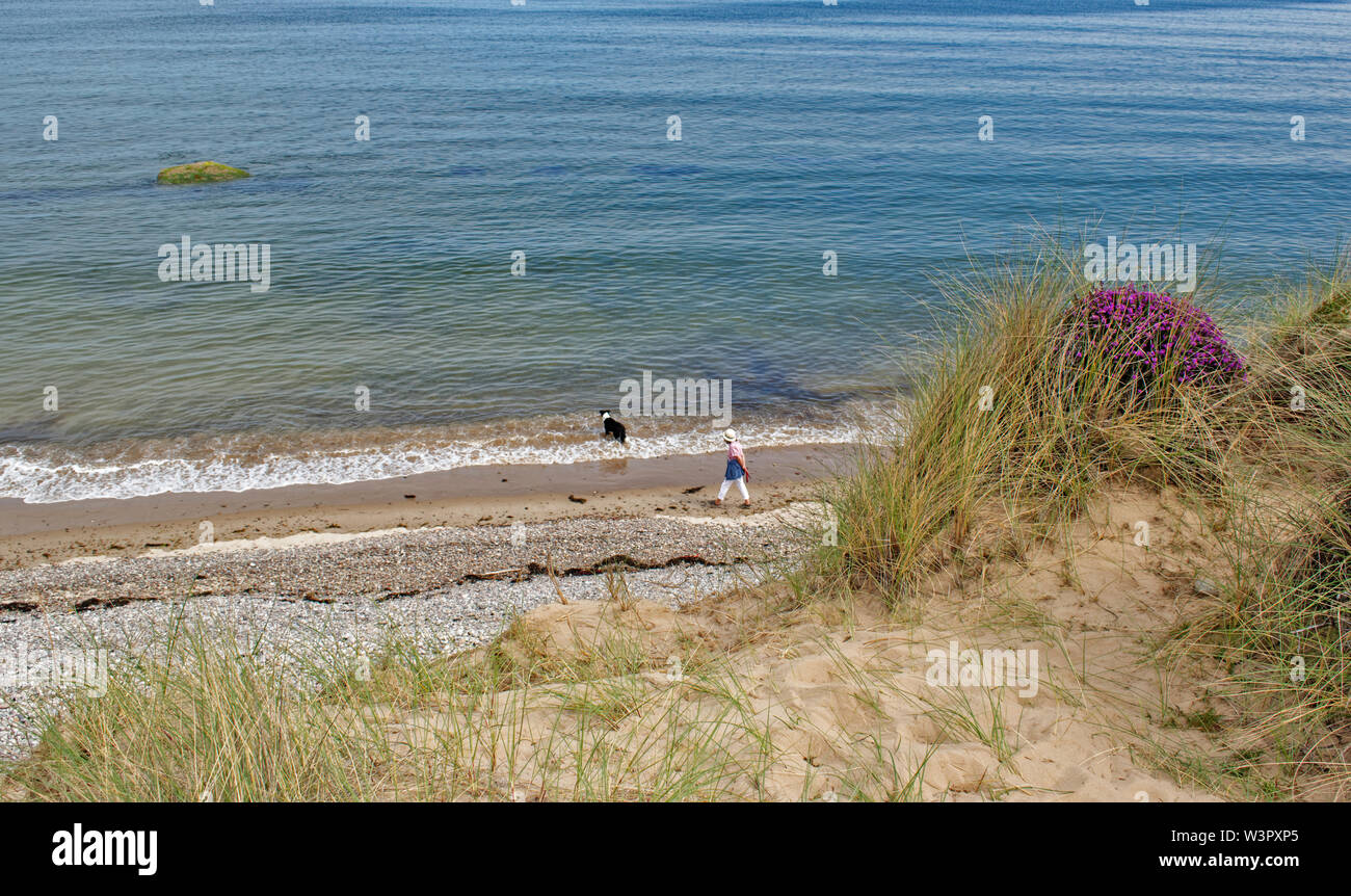 FINDHORN MORAY COAST SCOTLAND IN SUMMER SEA AND SAND WITH PURPLE ...