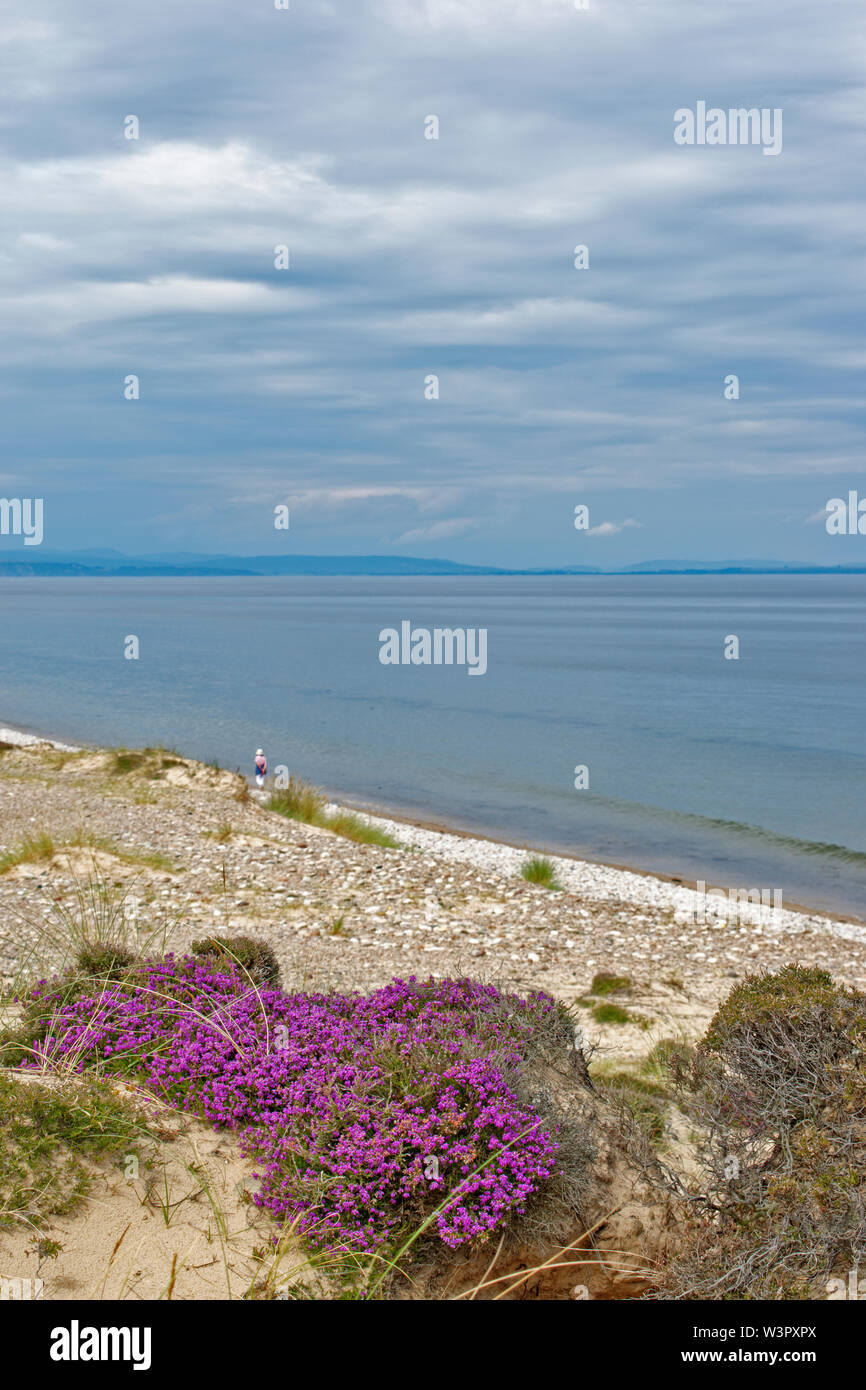 Heather sand hi-res stock photography and images - Alamy