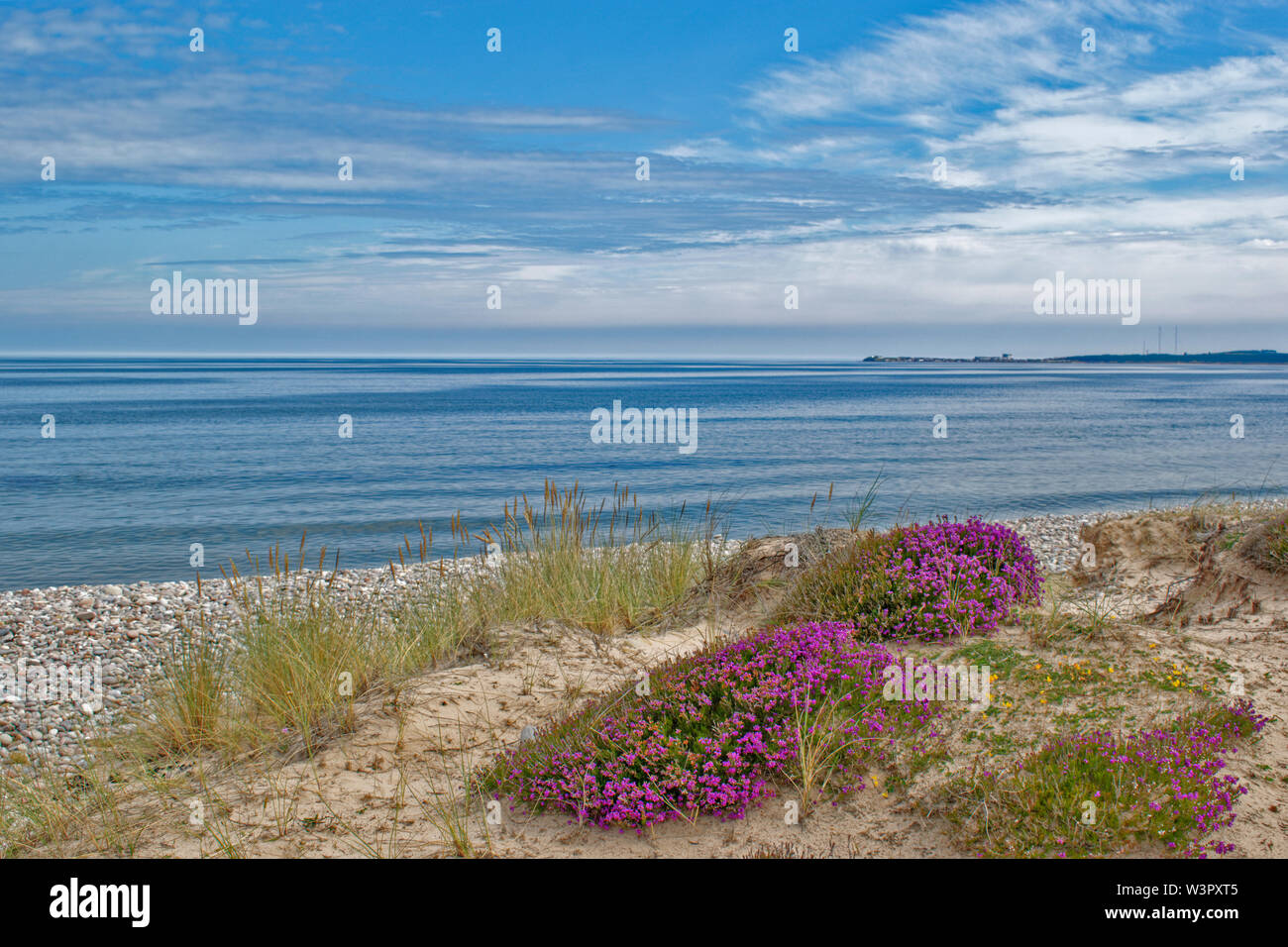 FINDHORN MORAY COAST SCOTLAND IN SUMMER SEA AND SAND WITH PURPLE ...