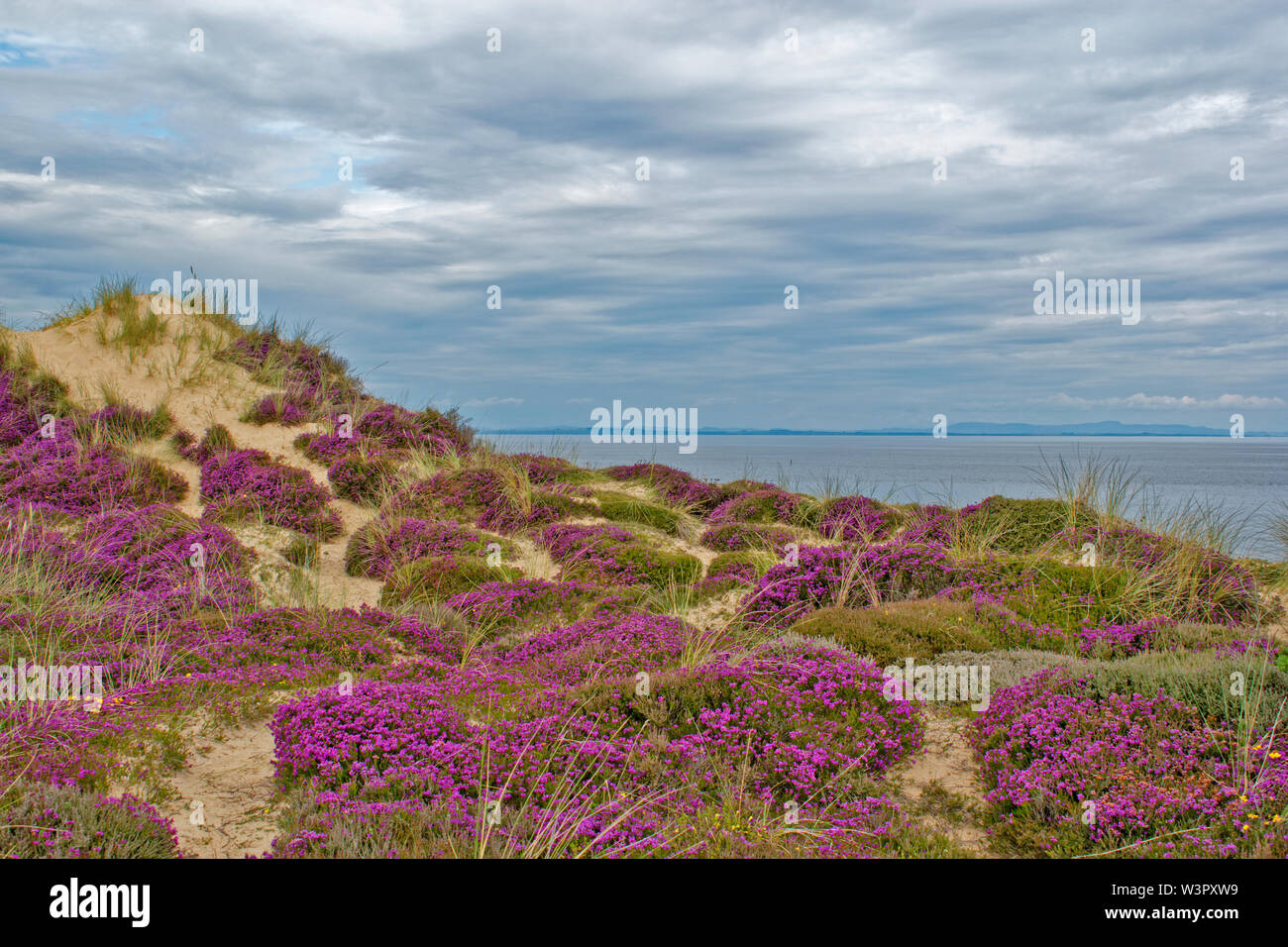 Heather sand hi-res stock photography and images - Alamy