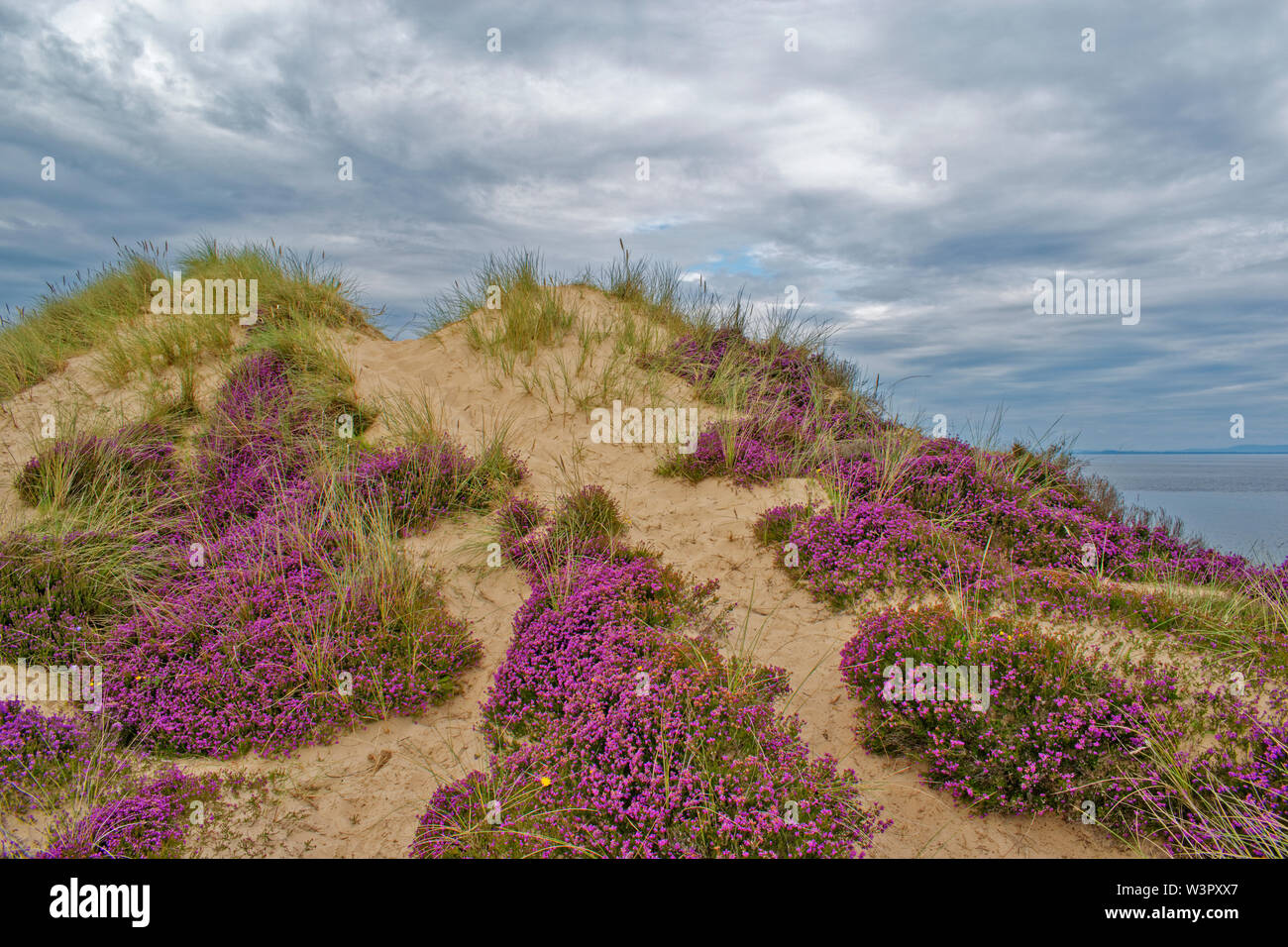 Heather sand hi-res stock photography and images - Alamy