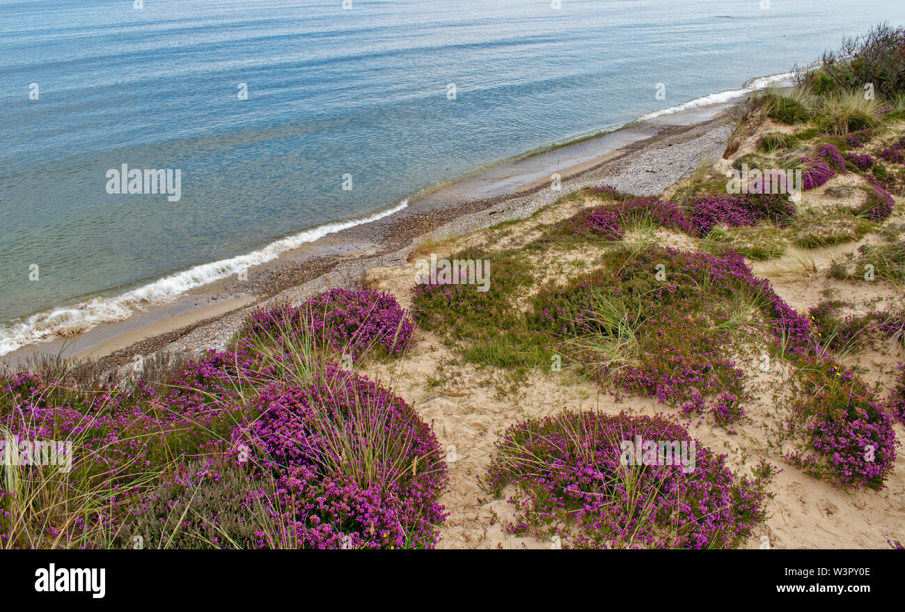 Heather sand hi-res stock photography and images - Alamy