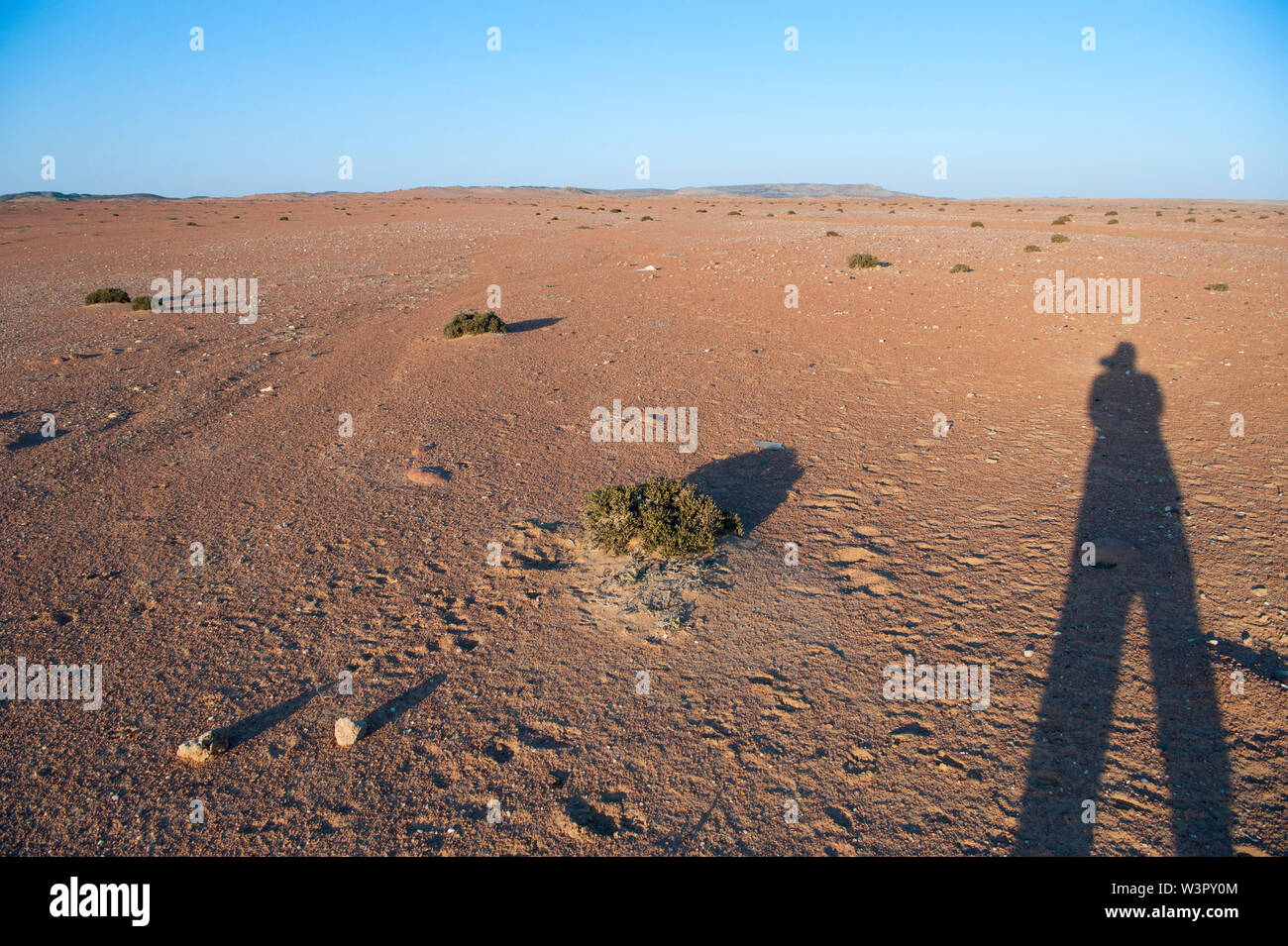 Harsh Namibian desert light, Namibia Shadow cast by the photographer ...