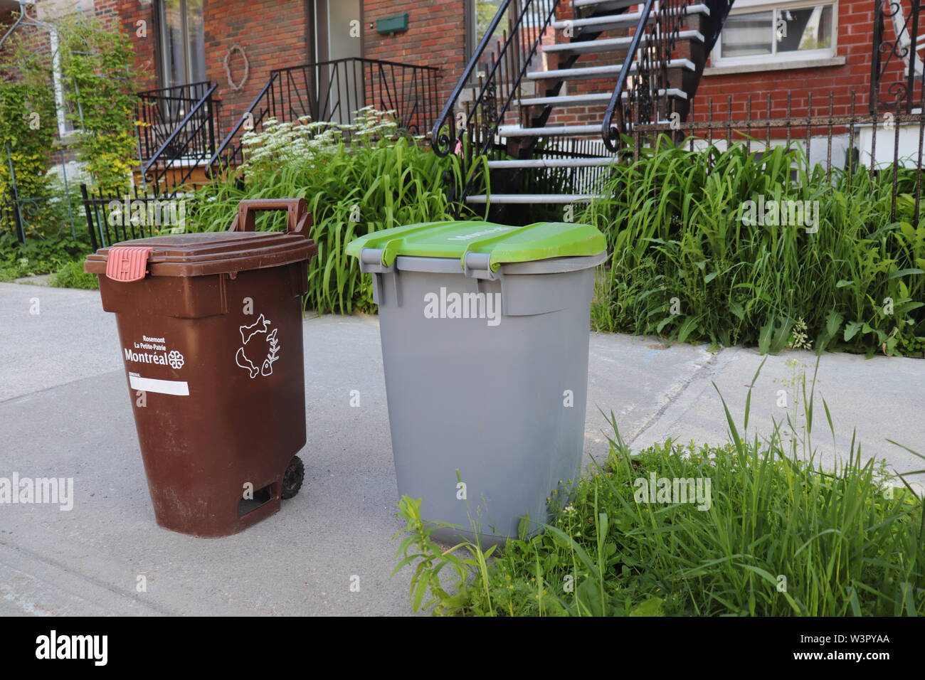 Brown Compost and Recycling Bins on a sidewalk during collection day in ...