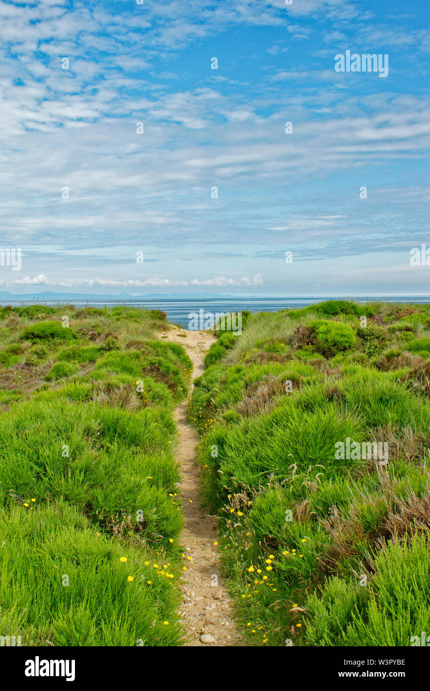 Pathway to success hi-res stock photography and images - Alamy