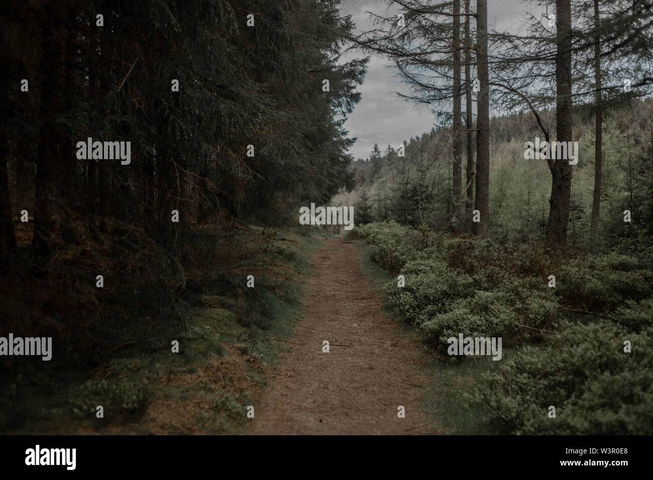 Pathway walkway thai people hi-res stock photography and images - Alamy