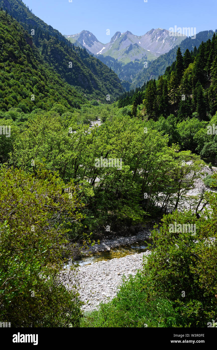 Gorge and forest at the area of Agrafa mountains in Thessaly, Greece ...